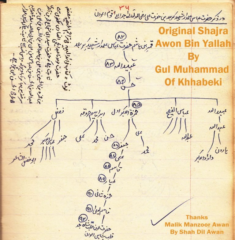 Original Shajra Nasab Awon Bin Yallah By Gul Muhammad Awan - Awan History